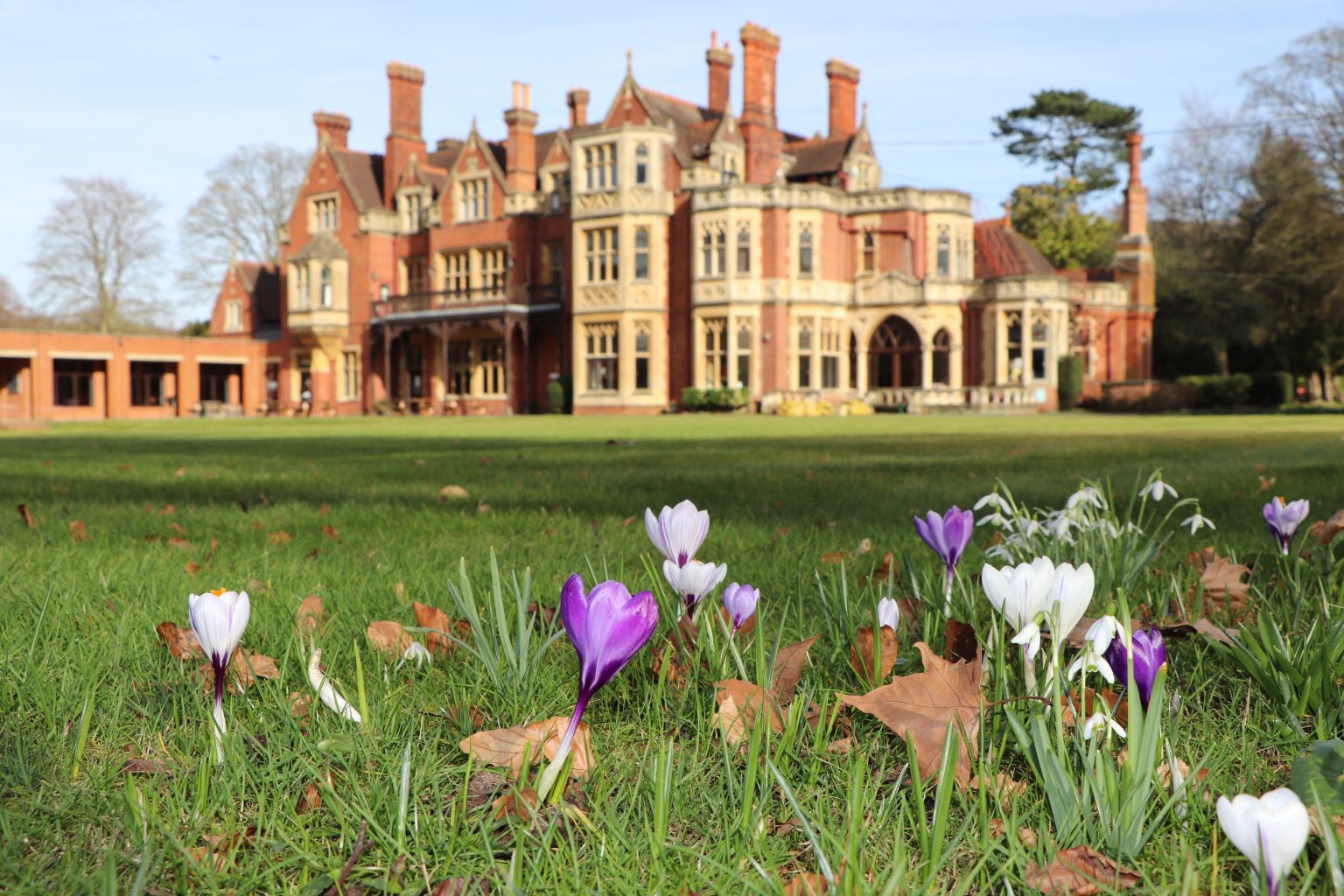News & Events | Boarding School, Surrey | RGS Surrey Hills